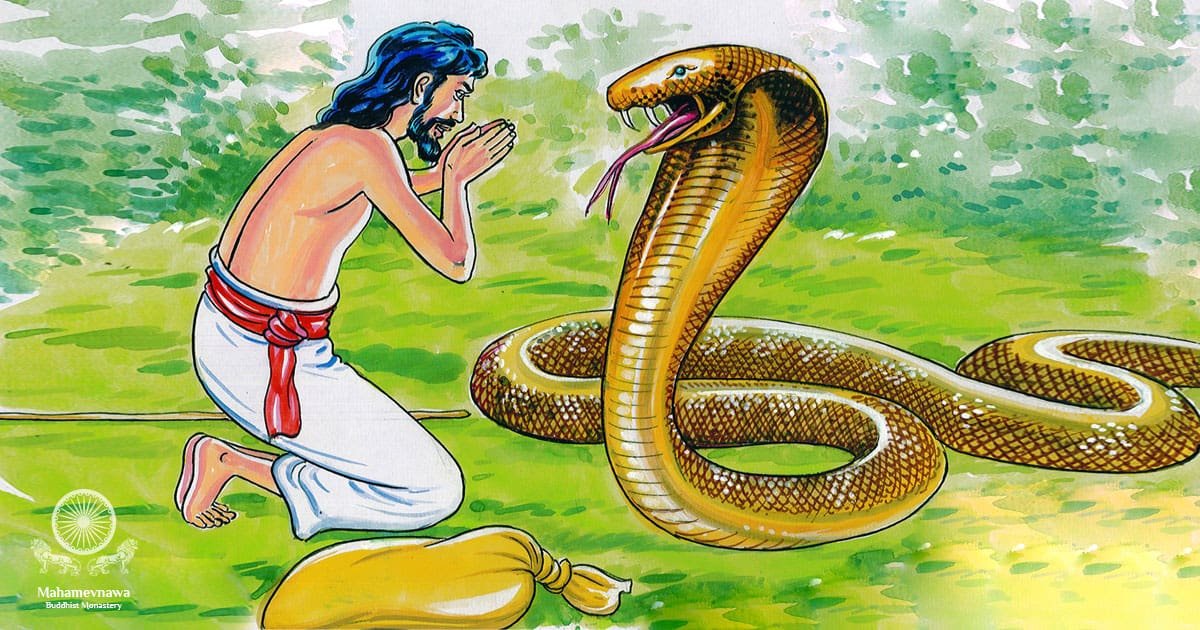 අපේ ආච්චිගේ ලස්සන බණ කතාව - 17 - Mahamevnawa Bhawana Asapuwa