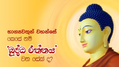 සේයා සදෙව්මි සිඟිති දුවේ, සේයාවක් සේ ඇයි ඔයා මැකී ගියේ ...